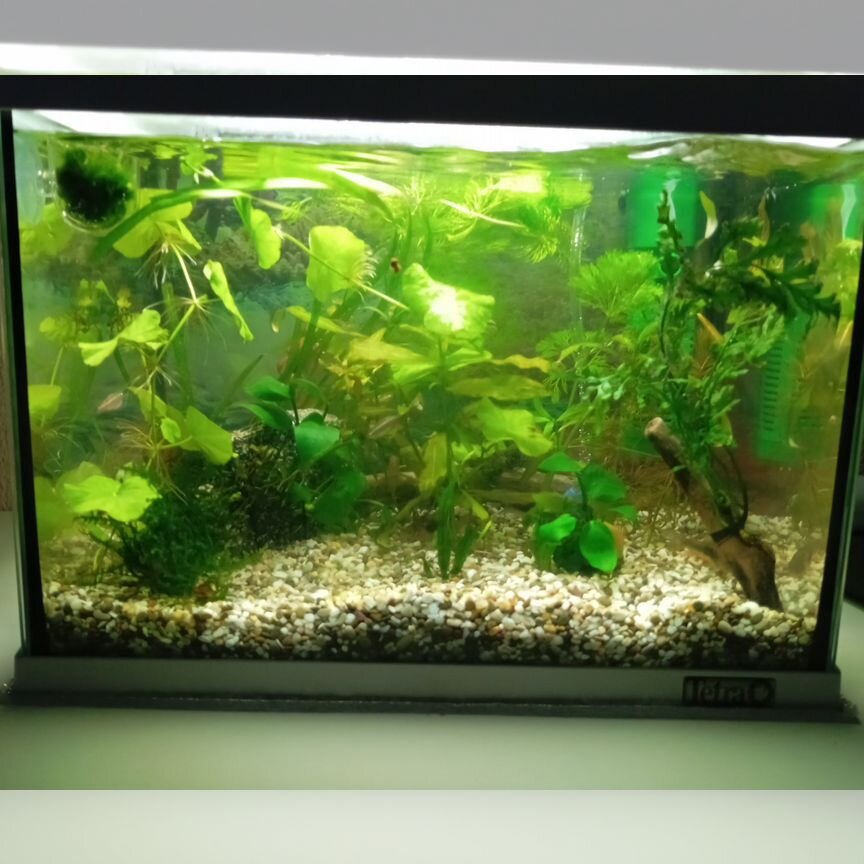 Небольшой брендовый аквариум