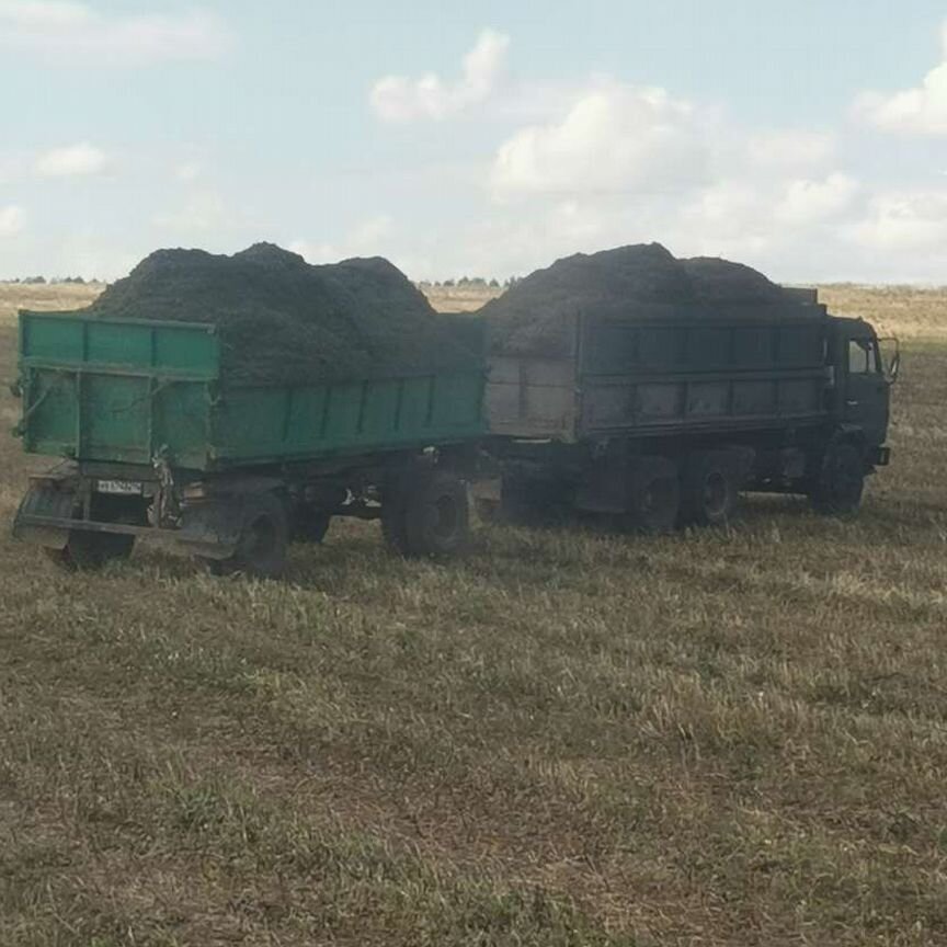 Сенаж весовой