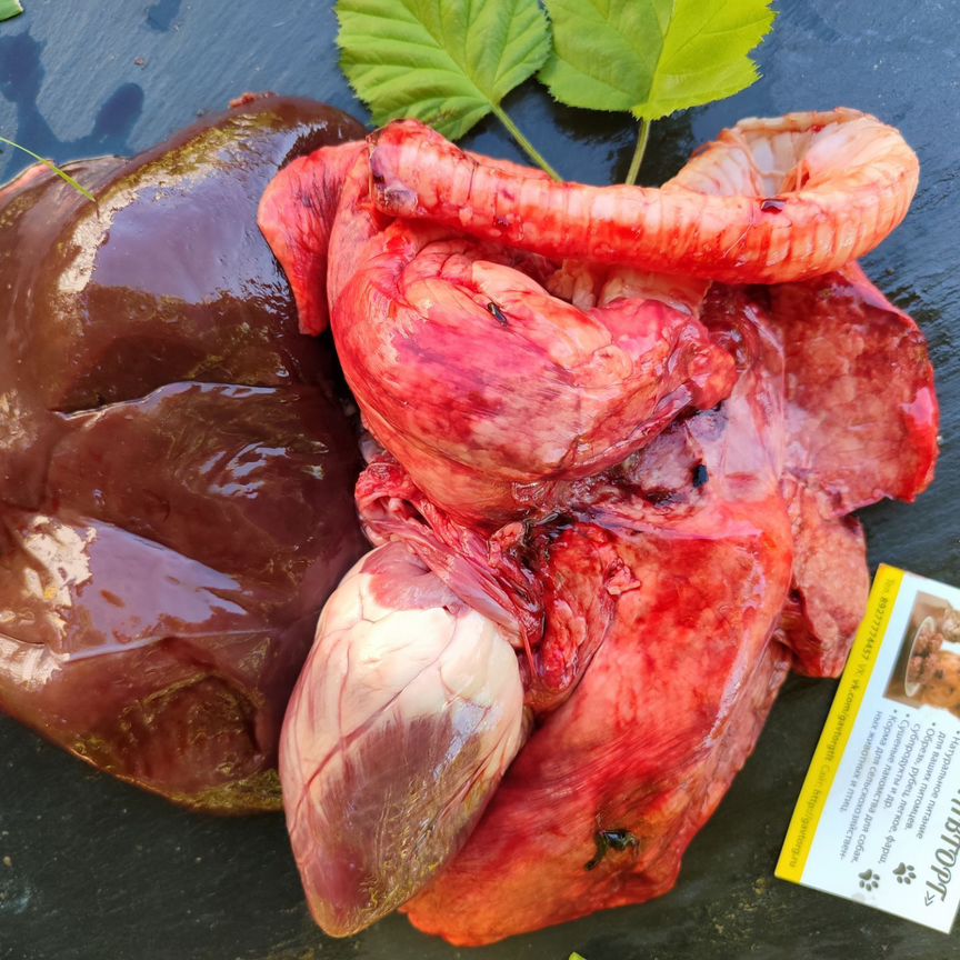 Бараний ливер, мясо для собак и кошек