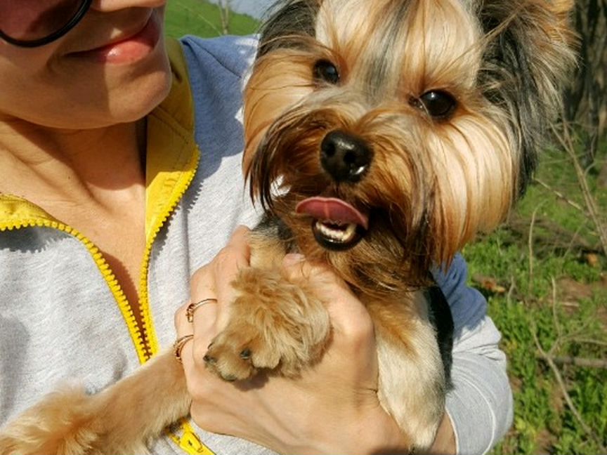 Парень готов к серьезным отношениям