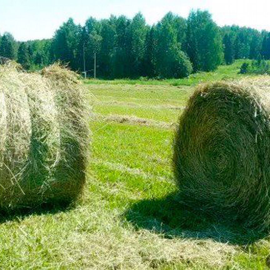 Сено рулон прф 145