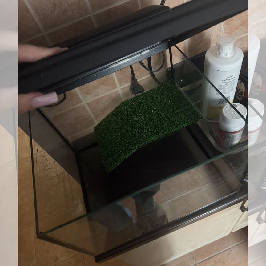 Террариум для черепахи