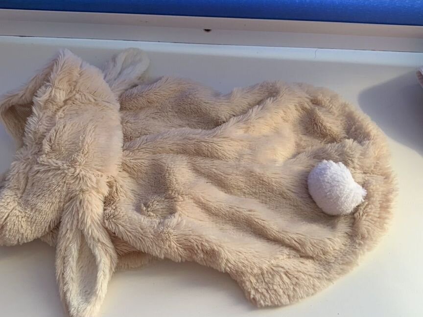 Одежда для маленьких собак