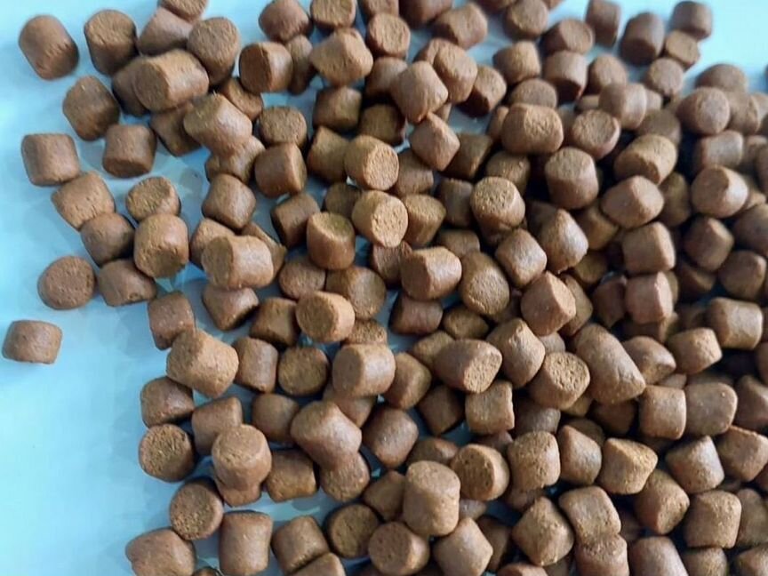 Корм для прудовой рыбы