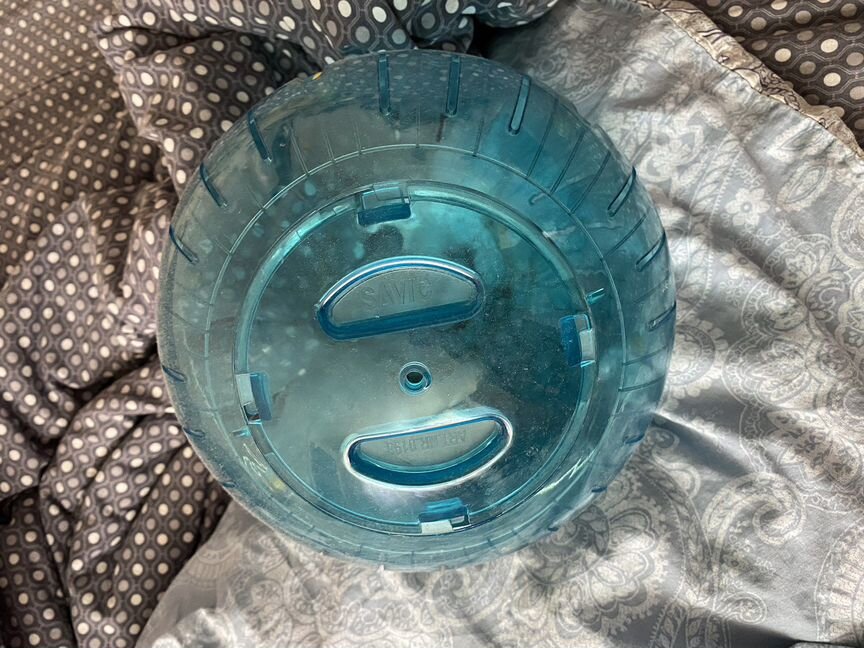 Продам шар для морской свинки