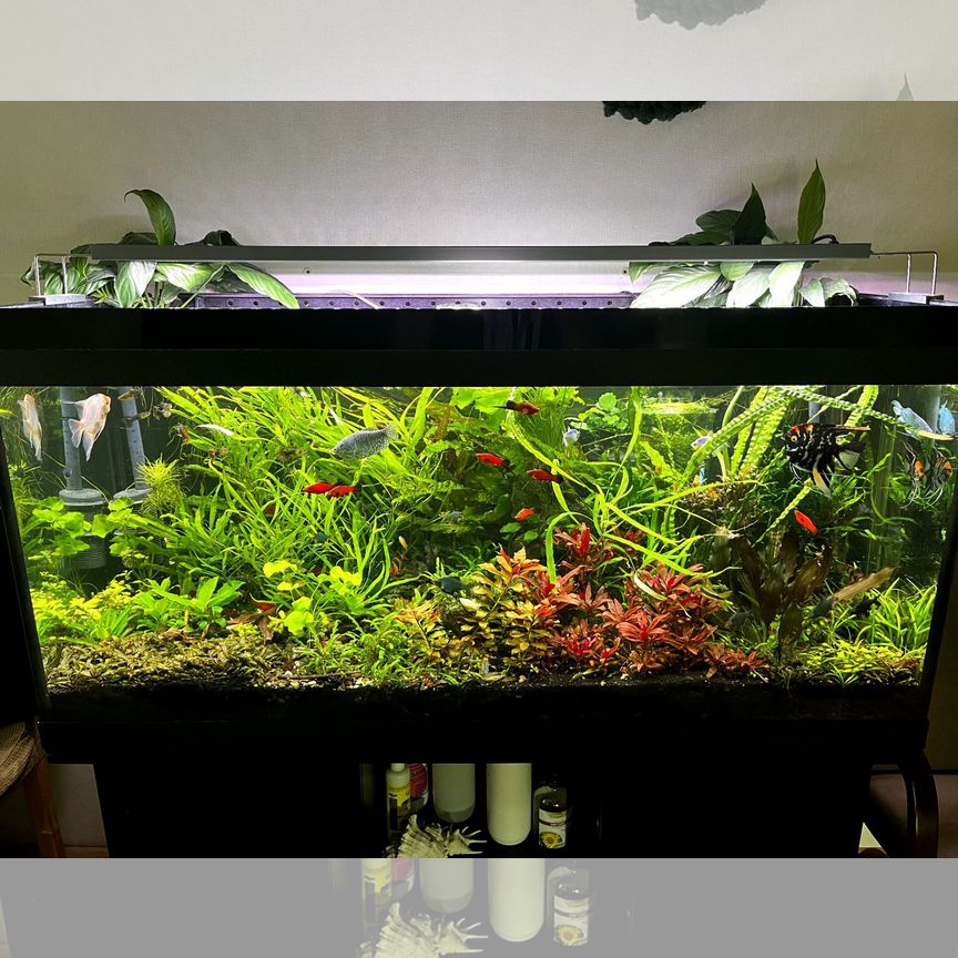 Аквариум с тумбой