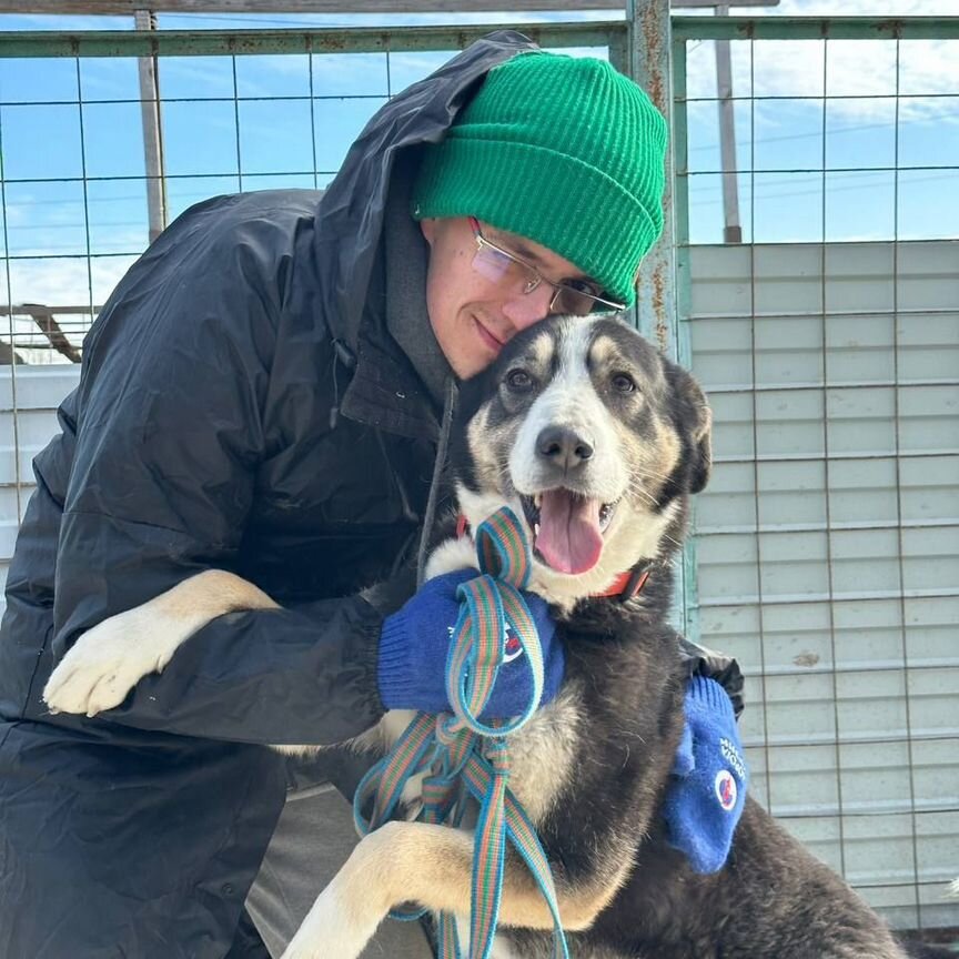 Машуля ждет Вас в приюте