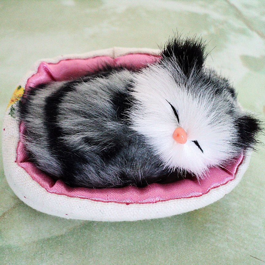 Котёнок от частного владельца