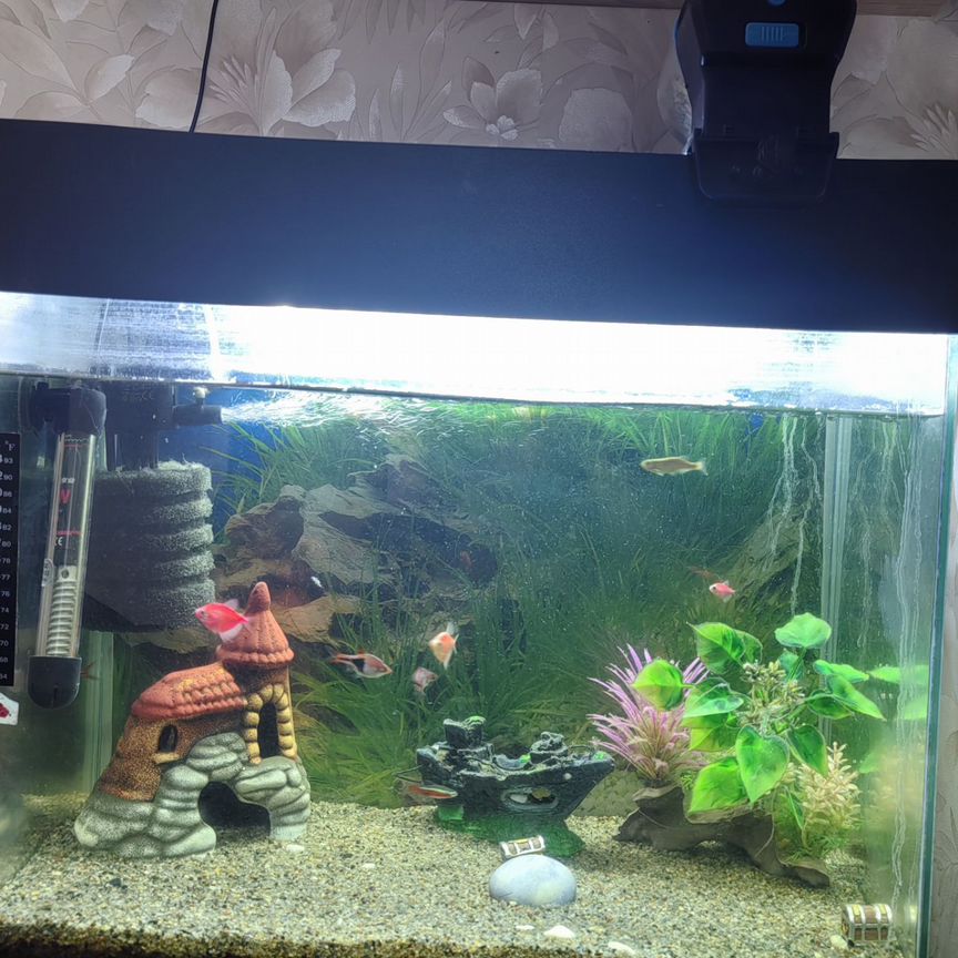 Аквариум 60 литров