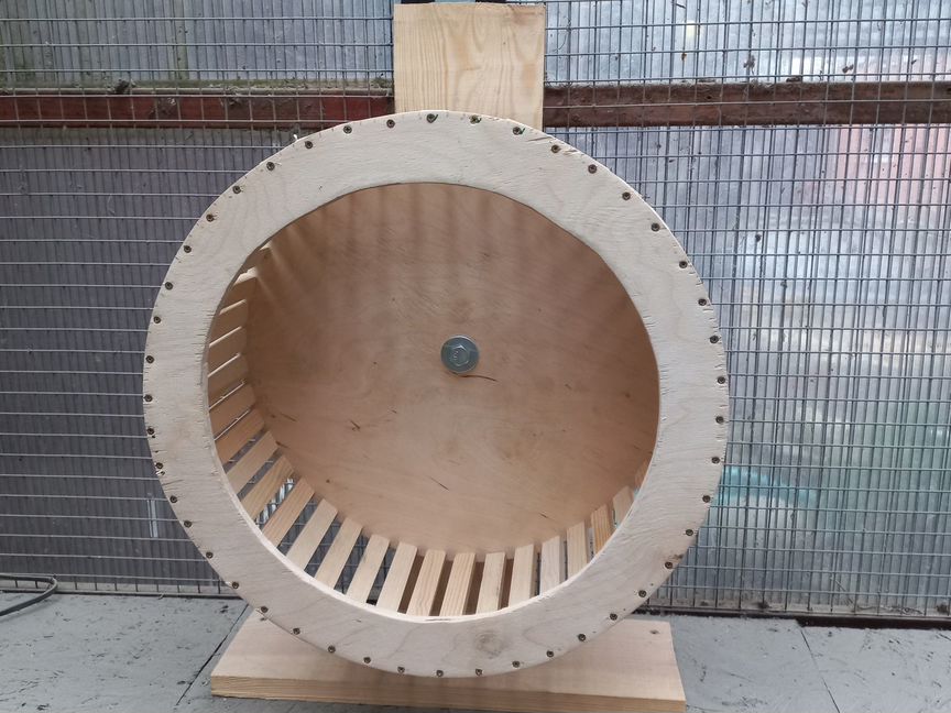 Колесо и дом для белки