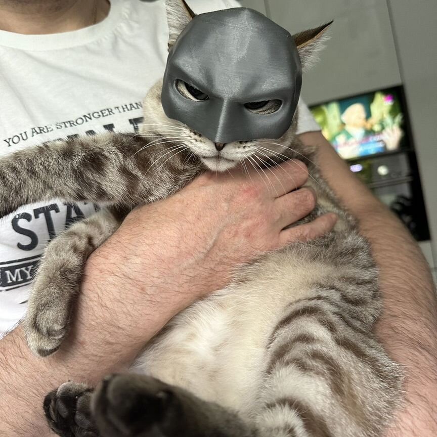 Маска Героя Бэтмен для кошки