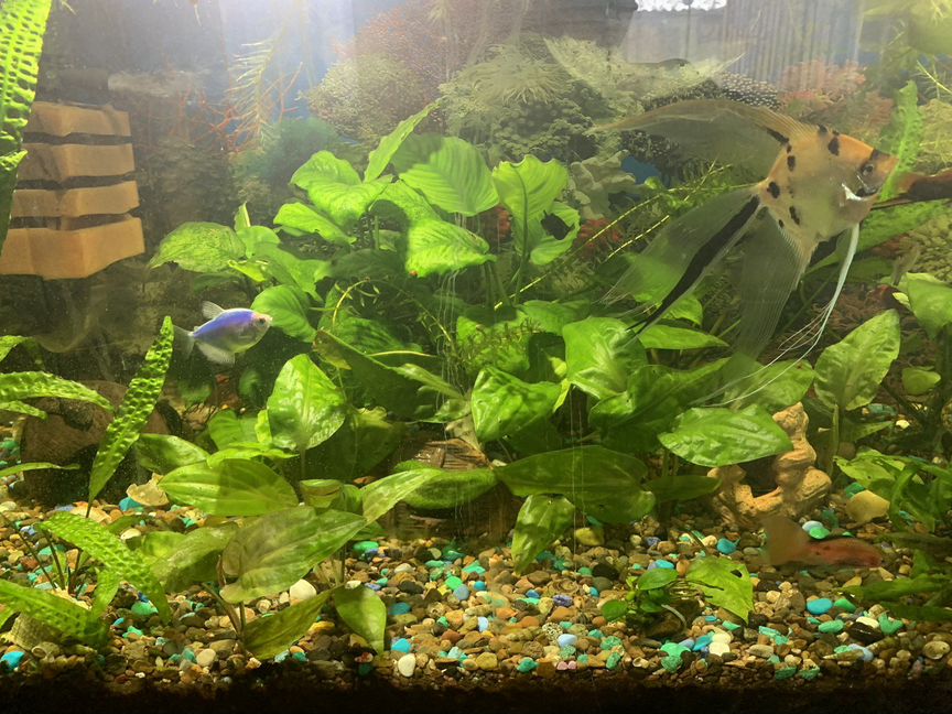 Украшение для аквариума