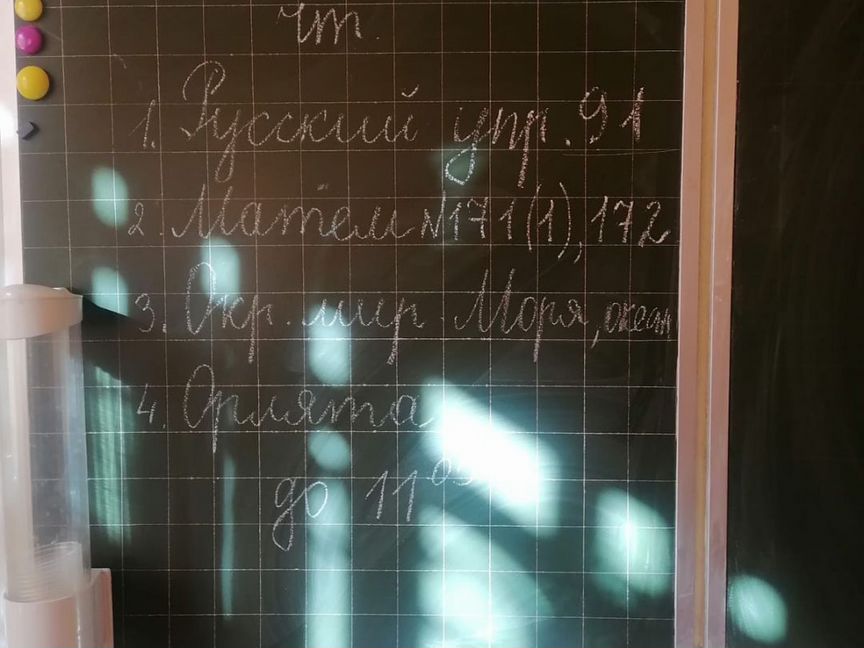 Голуби