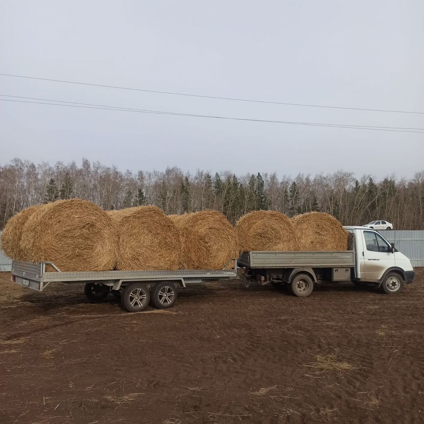 Солома ячменная в рулонах