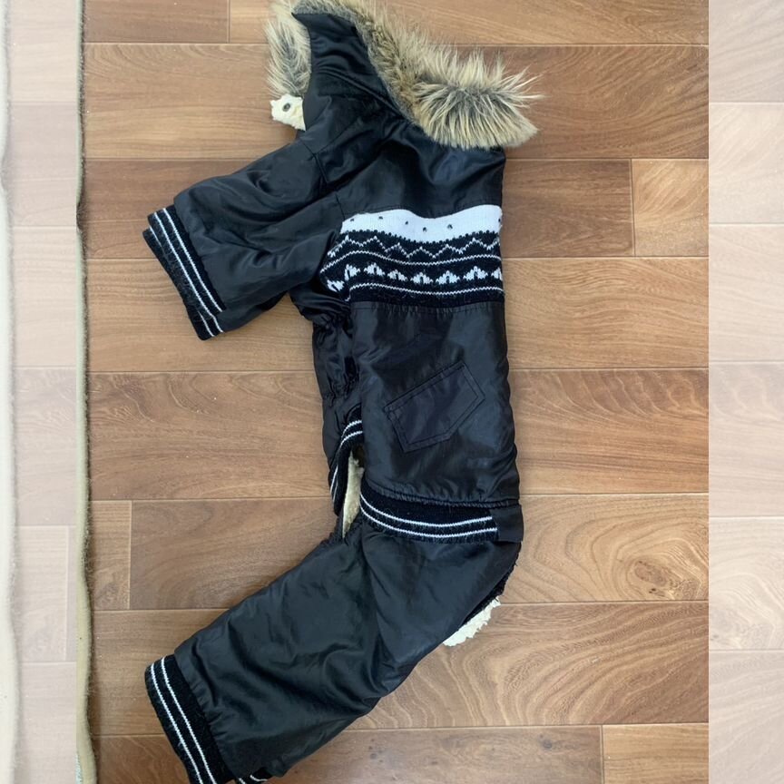 Зимняя одежда для собак отдам