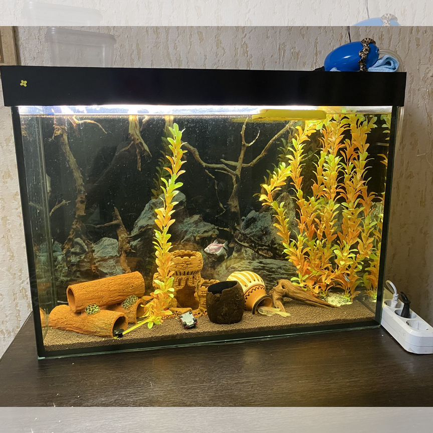 Аквариум с рыбками