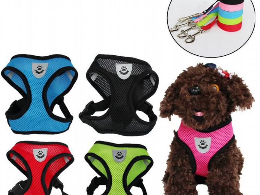 Шлейка для кошки, щенка S M размер с ремешком