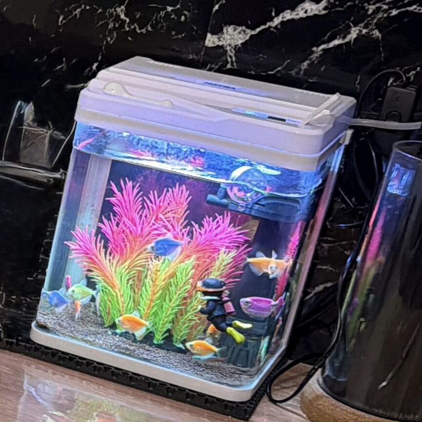 Готовый мини акварум