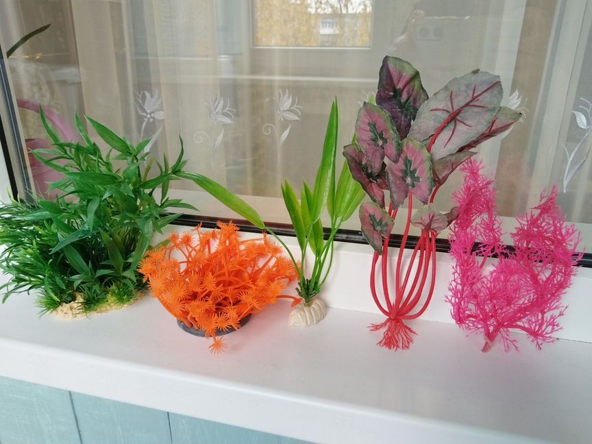 Трава для аквариума