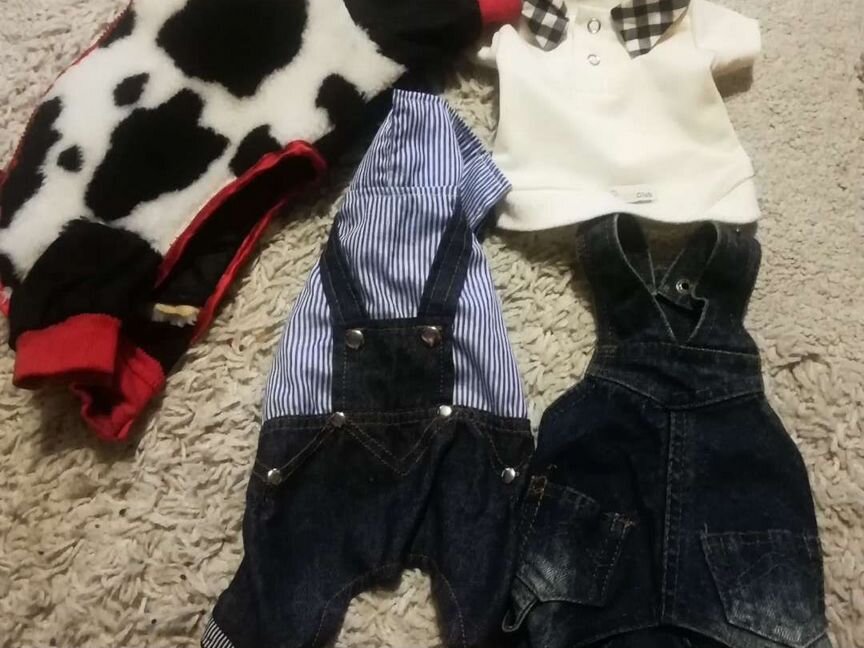 Одежда для собачек