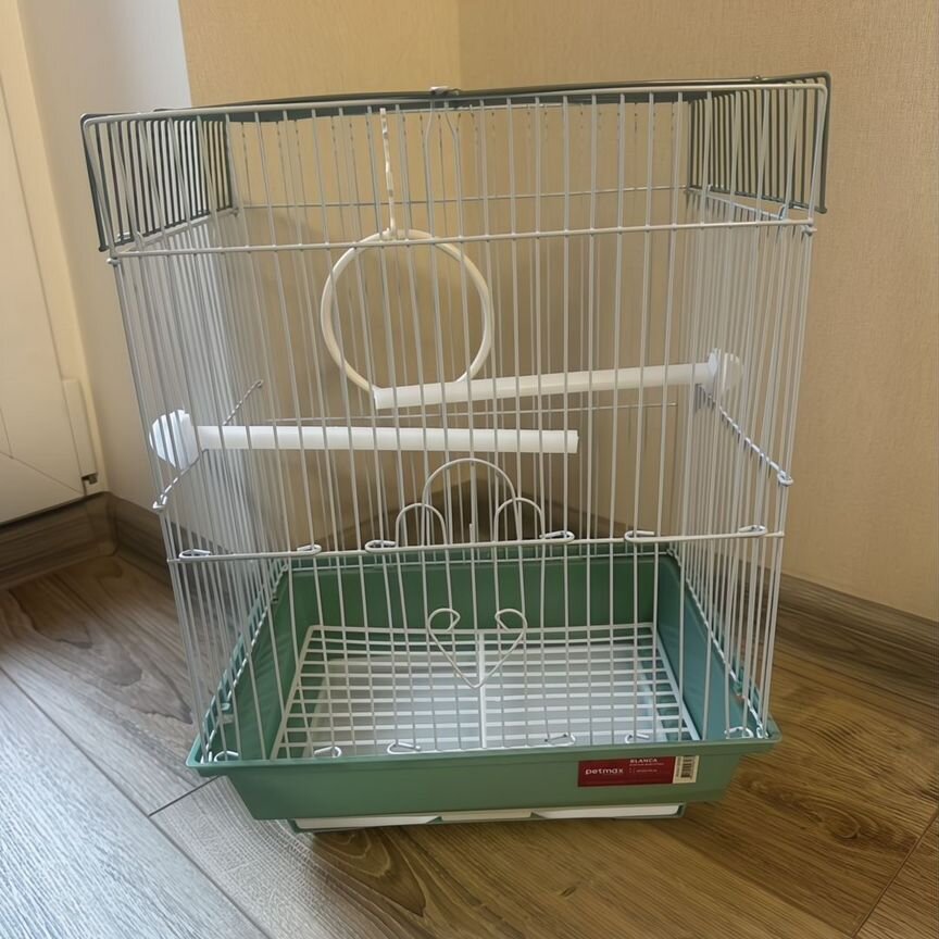 Волнистый попугай