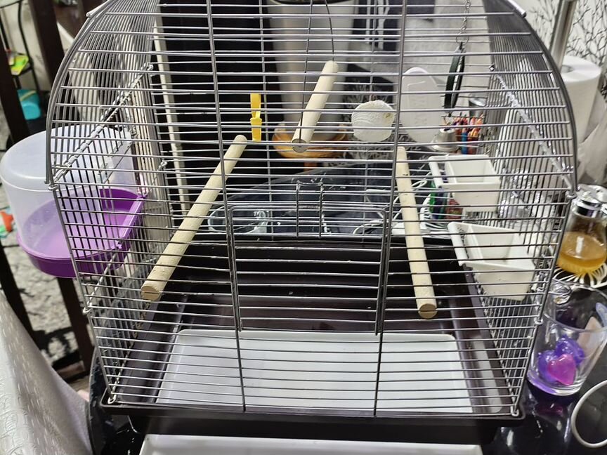 Клетка для попугая