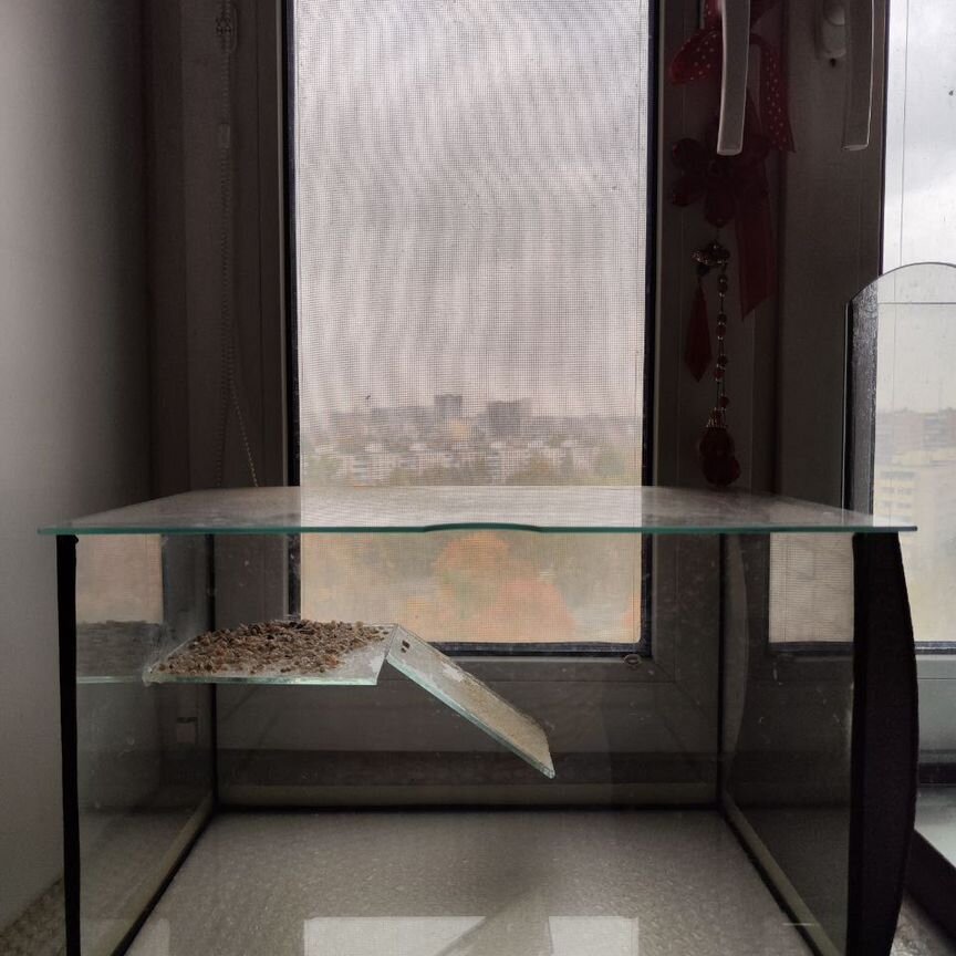 Стеклянный аквариум