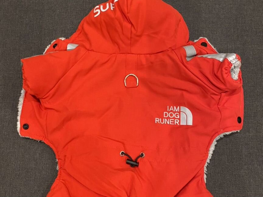 Одежда для собак мелких пород зима