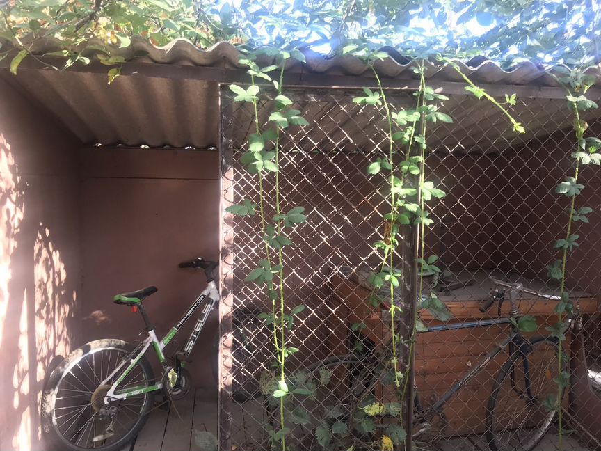 Будка вольер для собаки