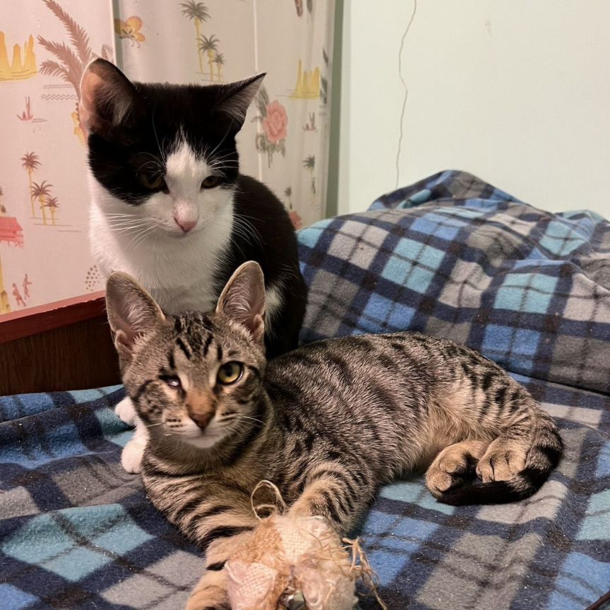 И таким особенным нужен дом