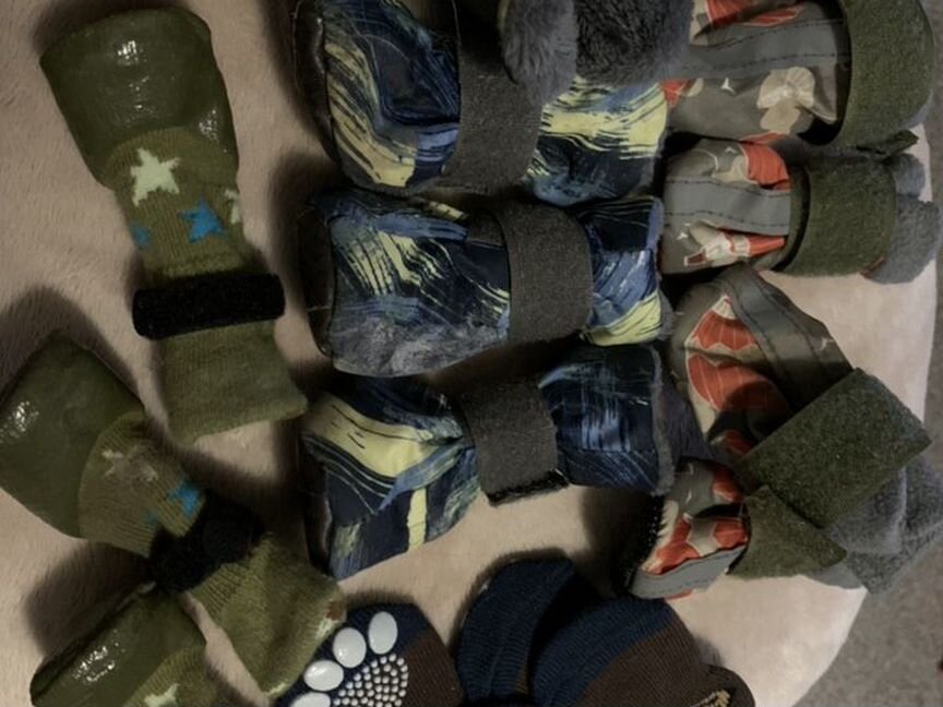 Обувь для собачек