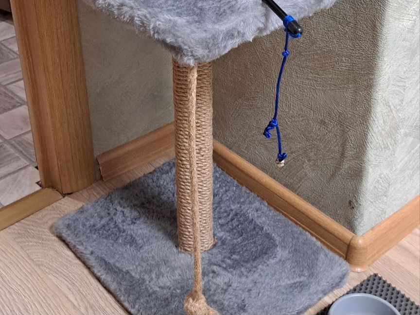 Когтеточка для кошек