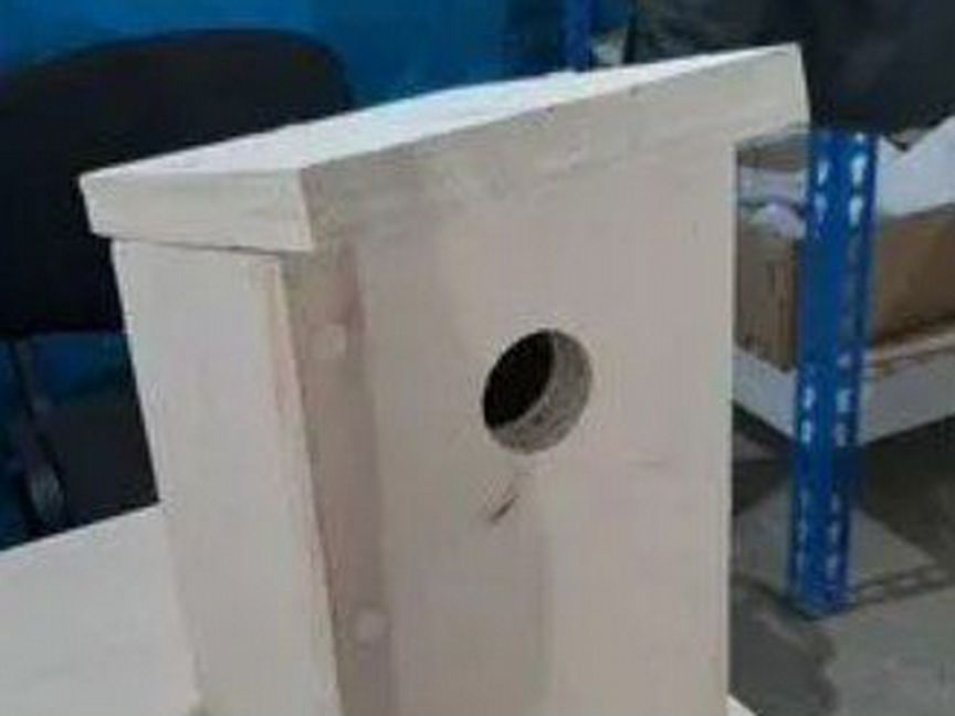 Скворечник бесплатная доставка