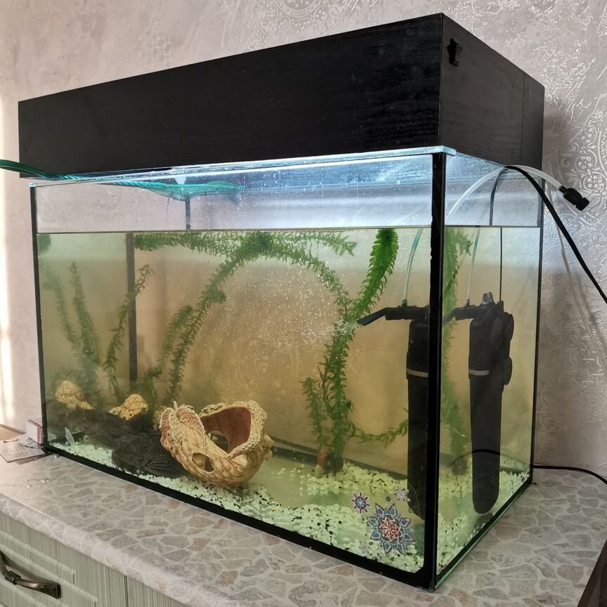 Аквариум с рыбками