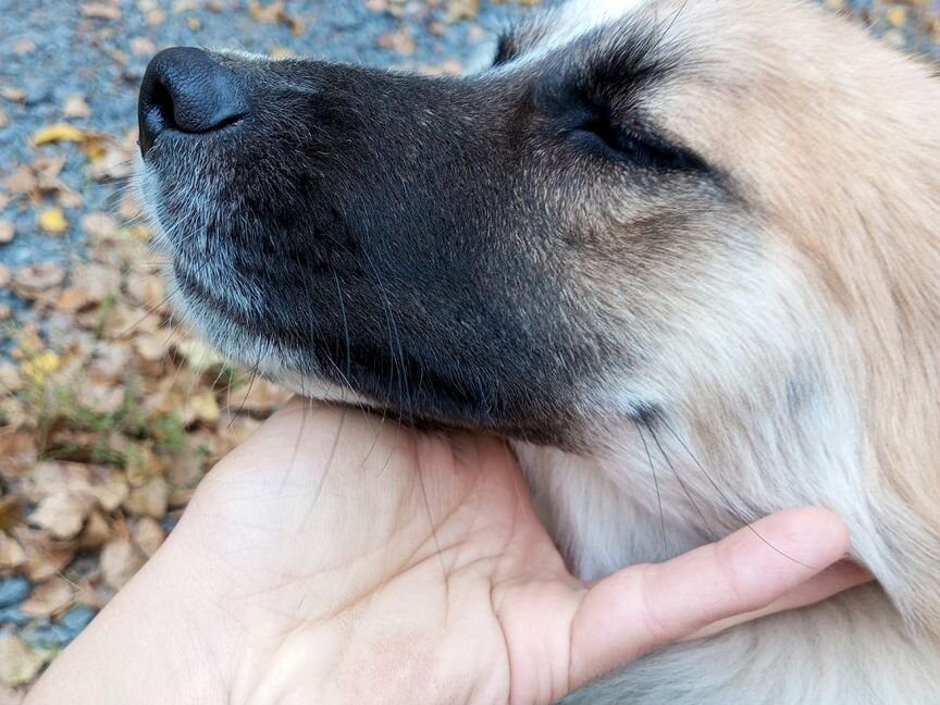 Мальчику очень нужна помощь