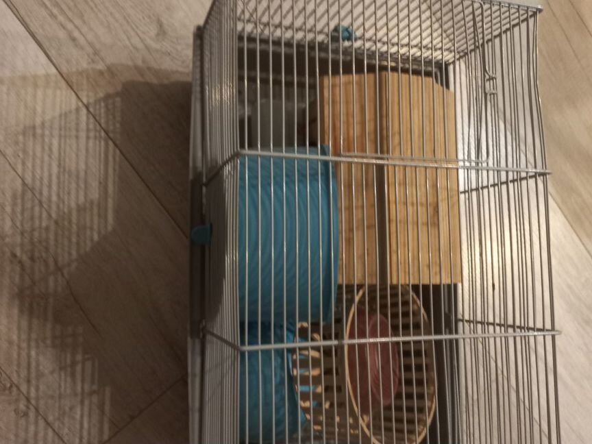 Клетка для грызунов