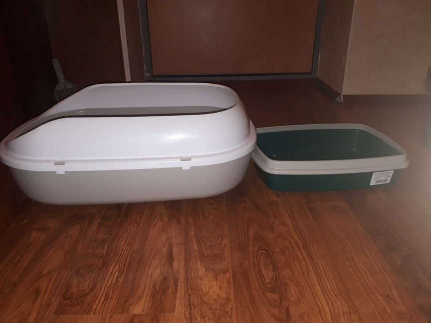 Огромный лоток для кошек