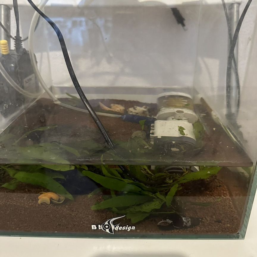 Аквариум с рыбками 15л