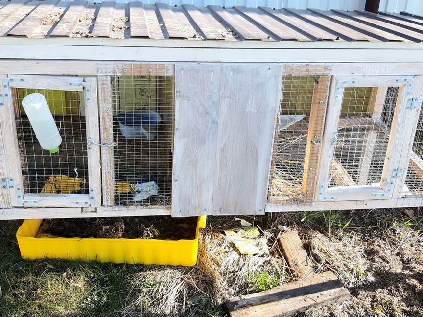 Крольчатник