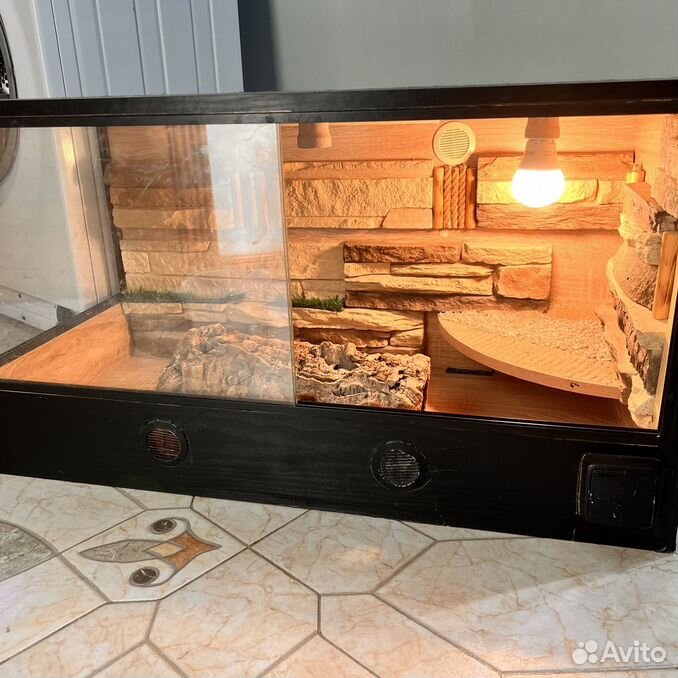 Террариум для ящерицы / бородатой агамы