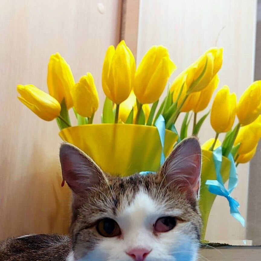 Маруся в дар