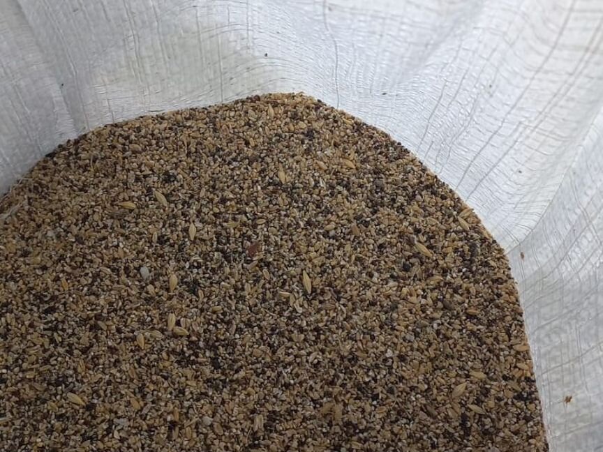 Зерно овес, дробленка