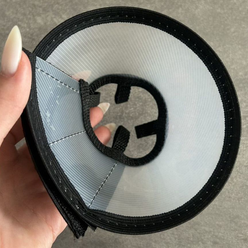 Воротник для котенка