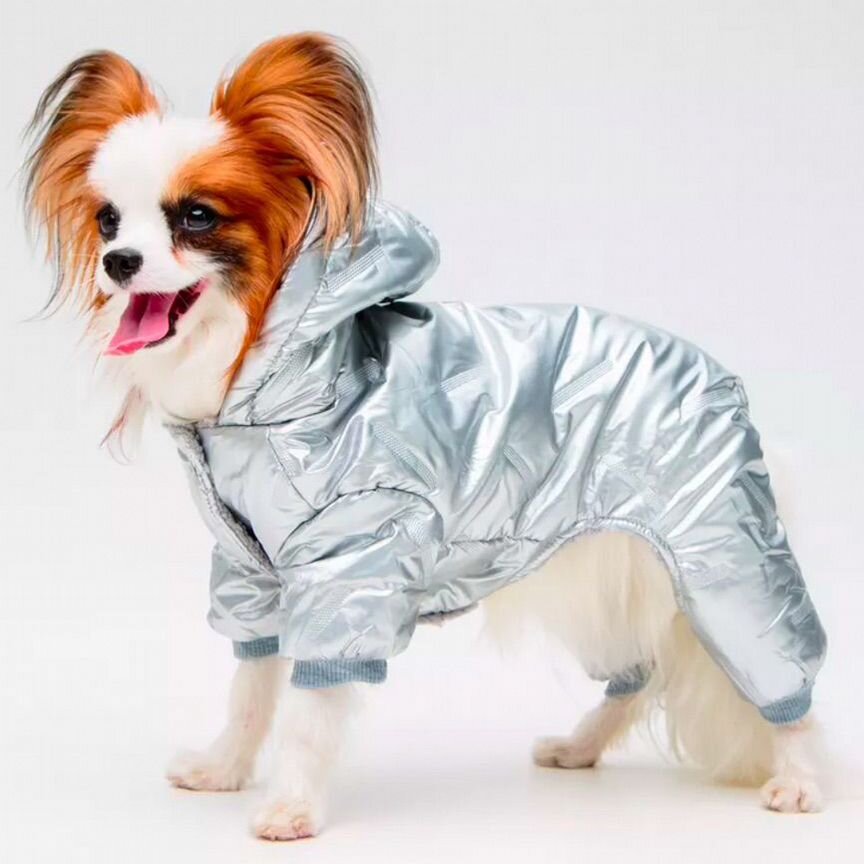 Одежда для собак