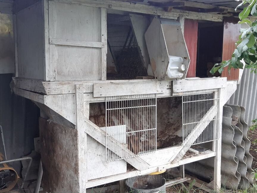 Клетки для кроликов