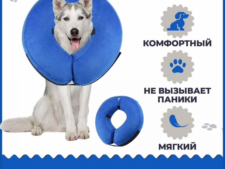 Воротник для собак. Защитный, размер L, синий