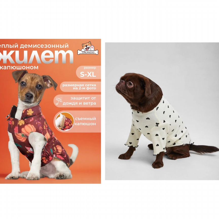 Жилет и лонгслив для собаки