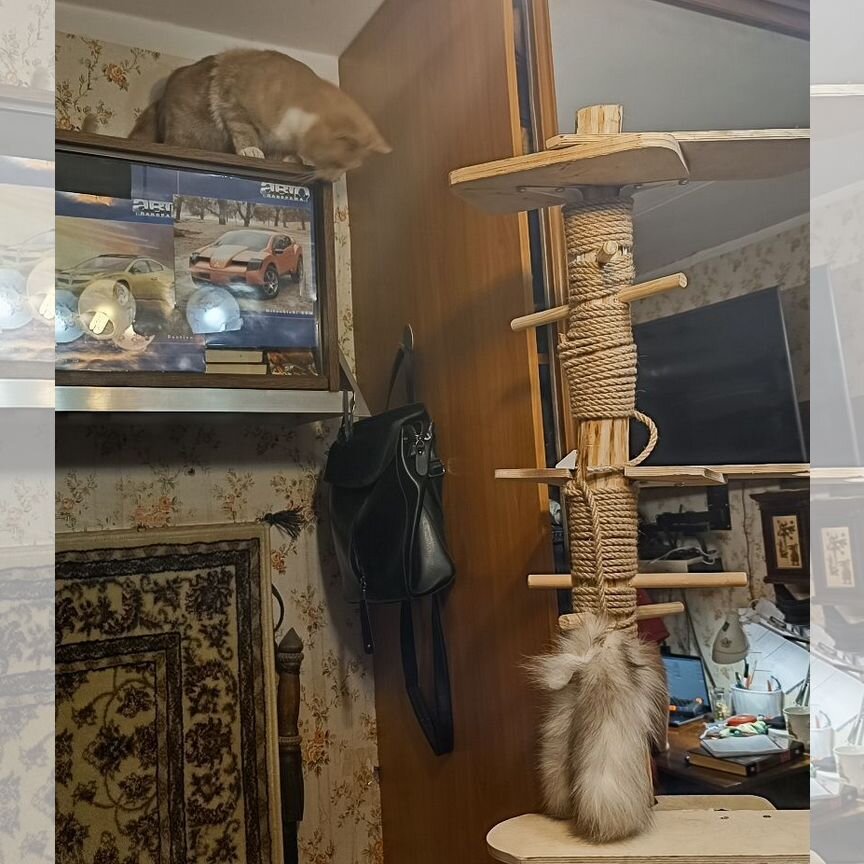 Когтеточка для кошек