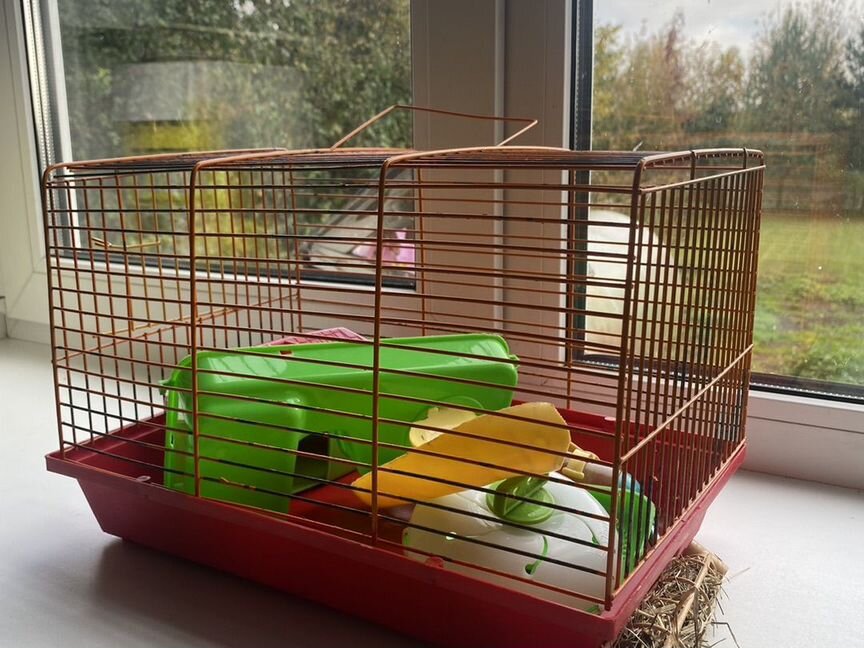 Клетка для хомяка бу