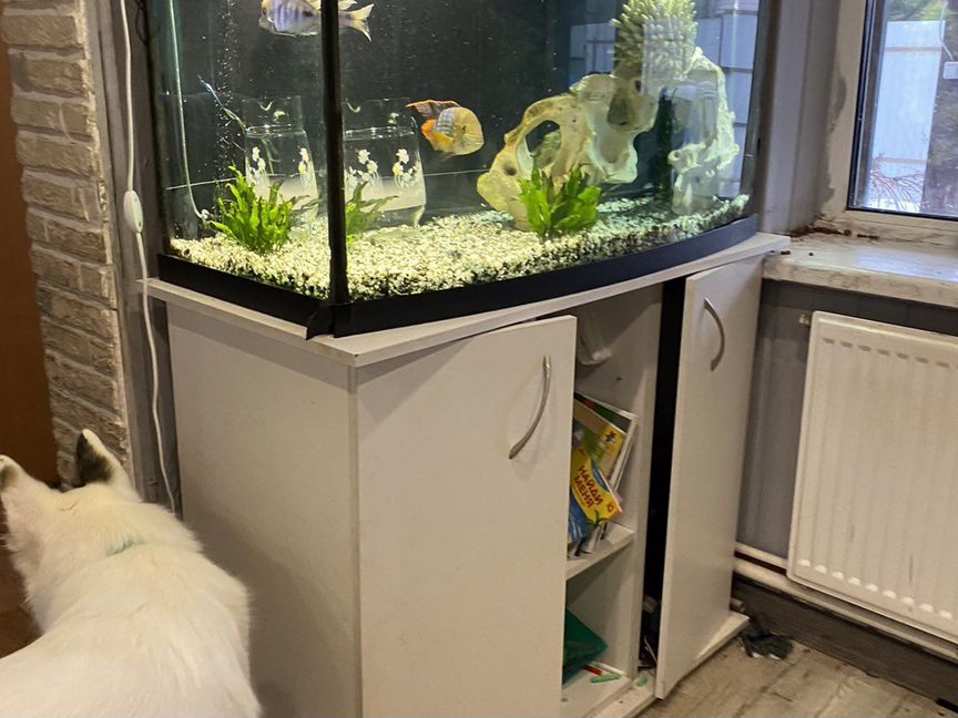 Аквариум с тумбой